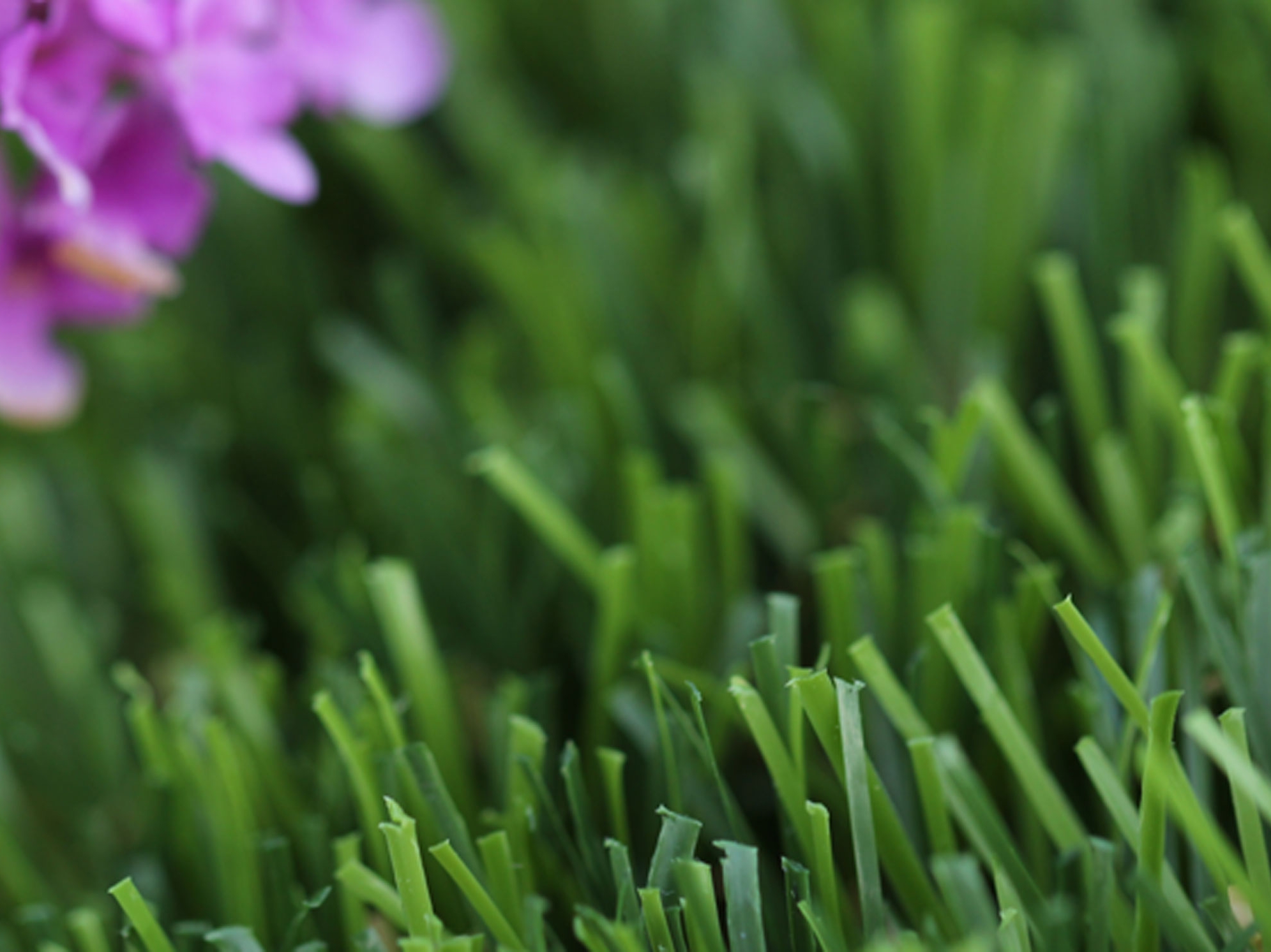 Artificial Grass for Landscape Lawns Sierra Super 94